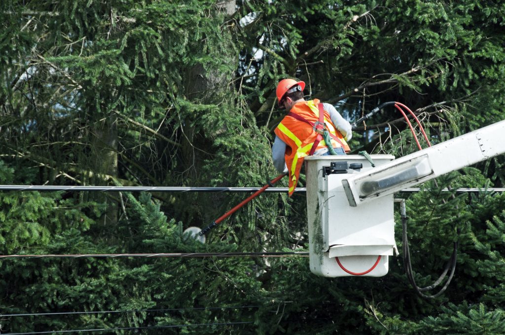 Real-Time Calculations That Keep You Safe in Span Vegetation Management ...